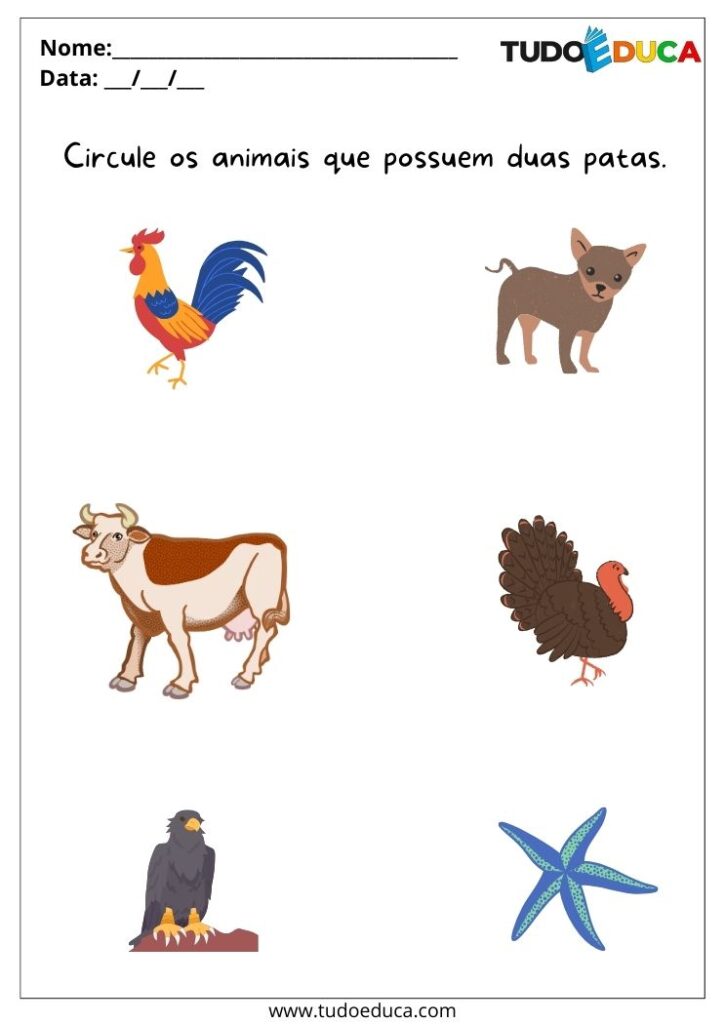 10 Atividades com números para o maternal