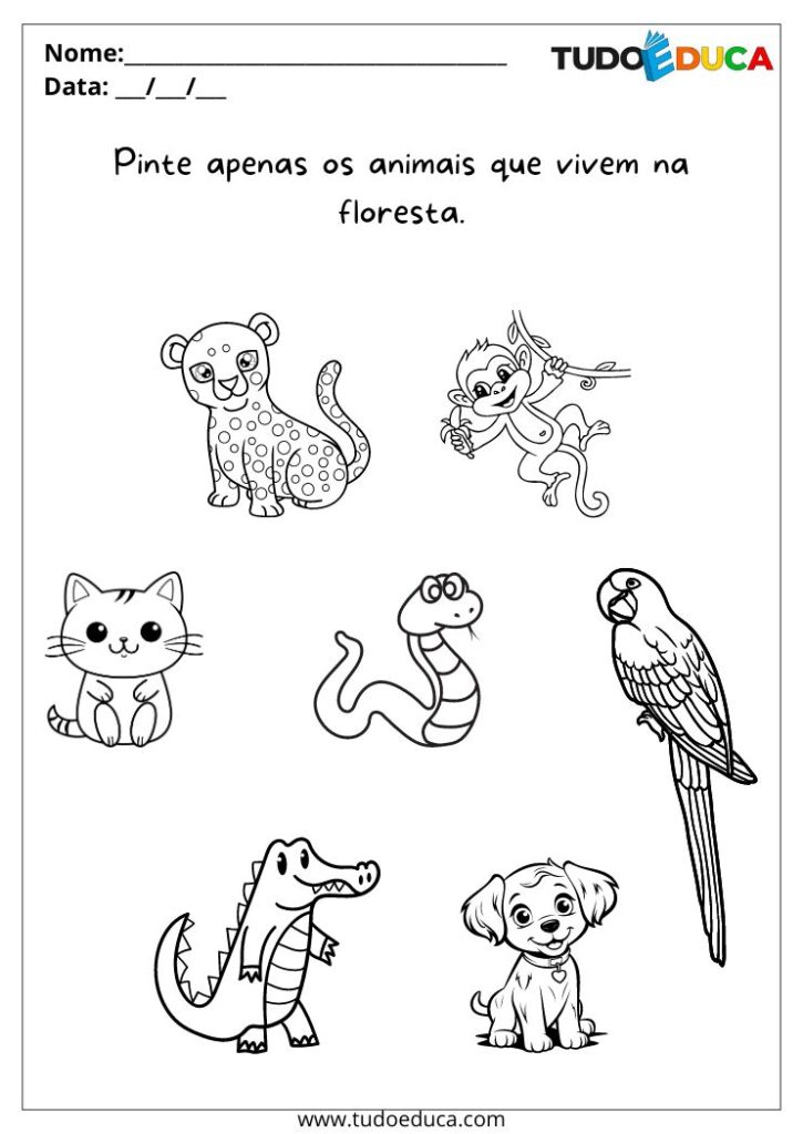 10 Atividades para maternal com animais para colorir