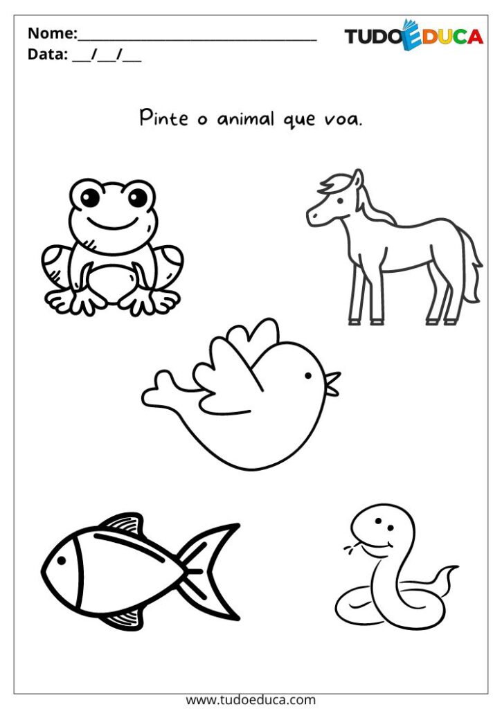 10 Atividades para maternal com animais para colorir